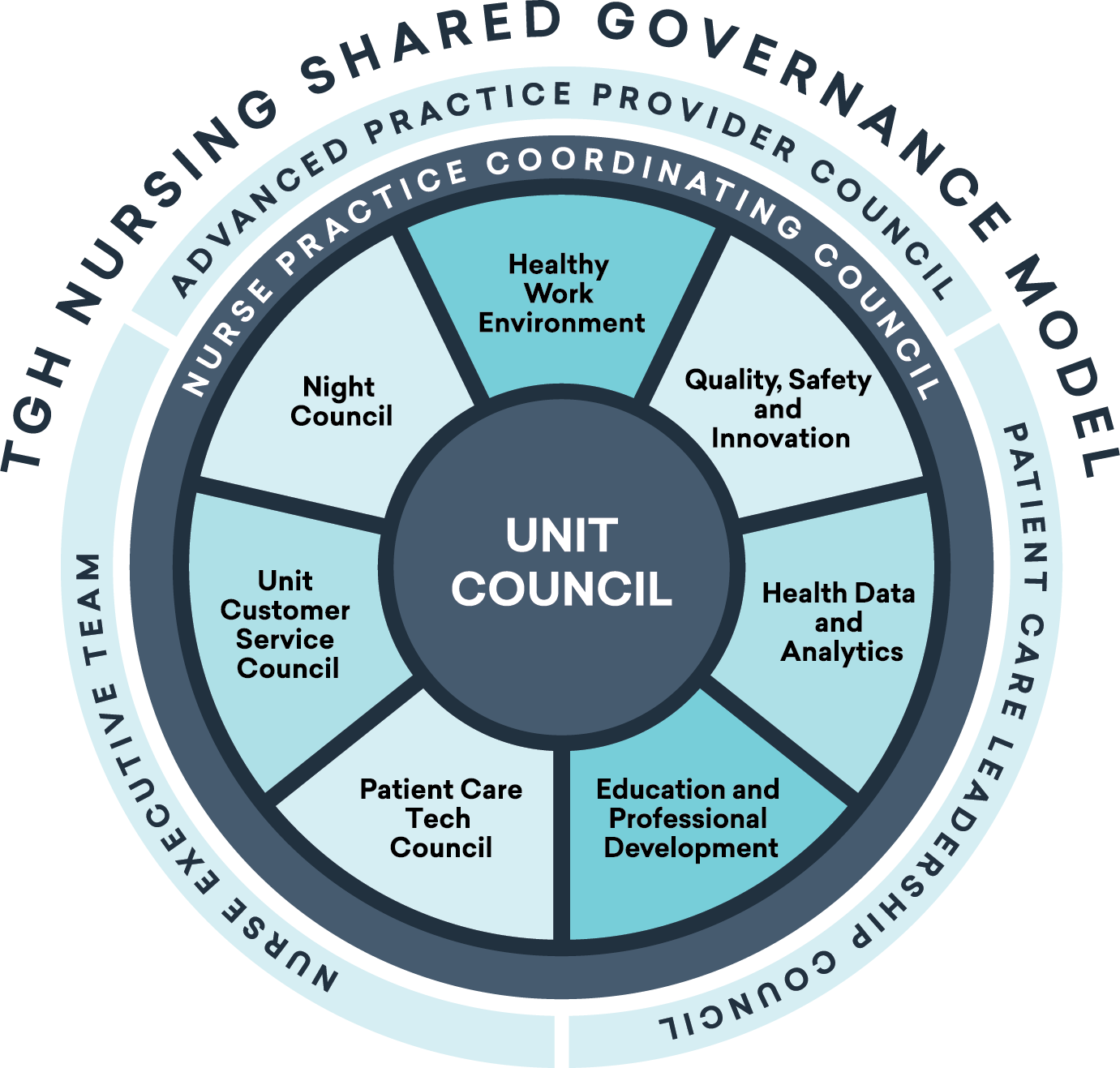 Nursing Shared Governance Model | Tampa General Hospital