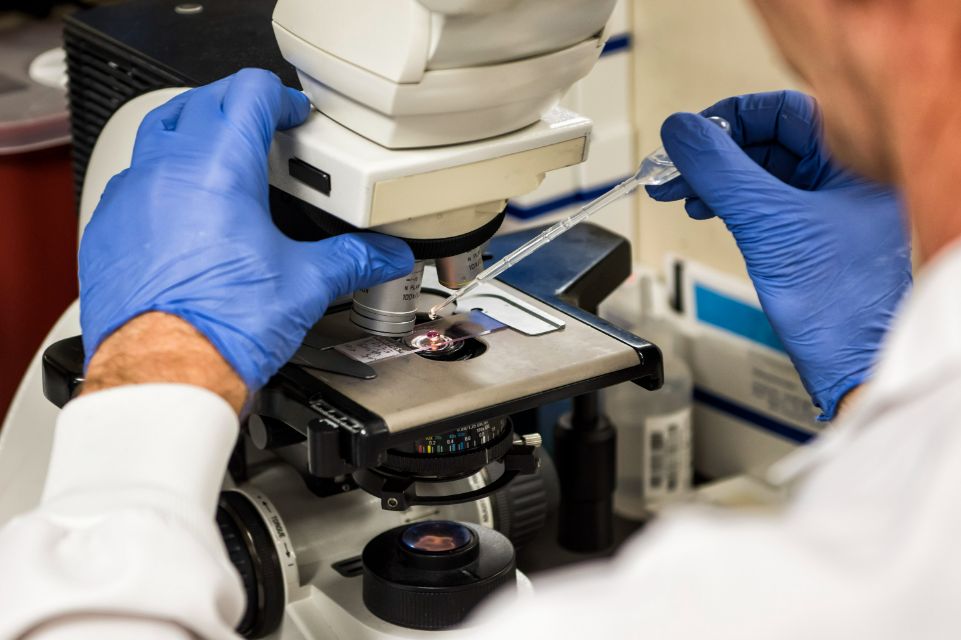 Lasher Family Gift Accelerates Innovative Infectious Disease Research ...